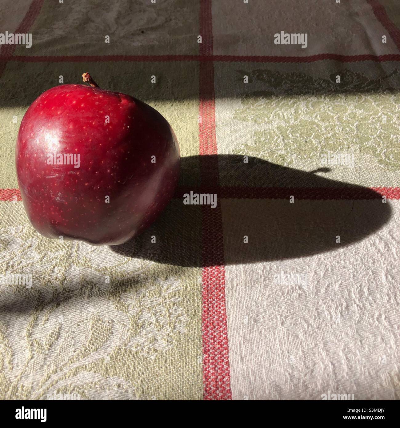 Strong light hi-res stock photography and images - Alamy