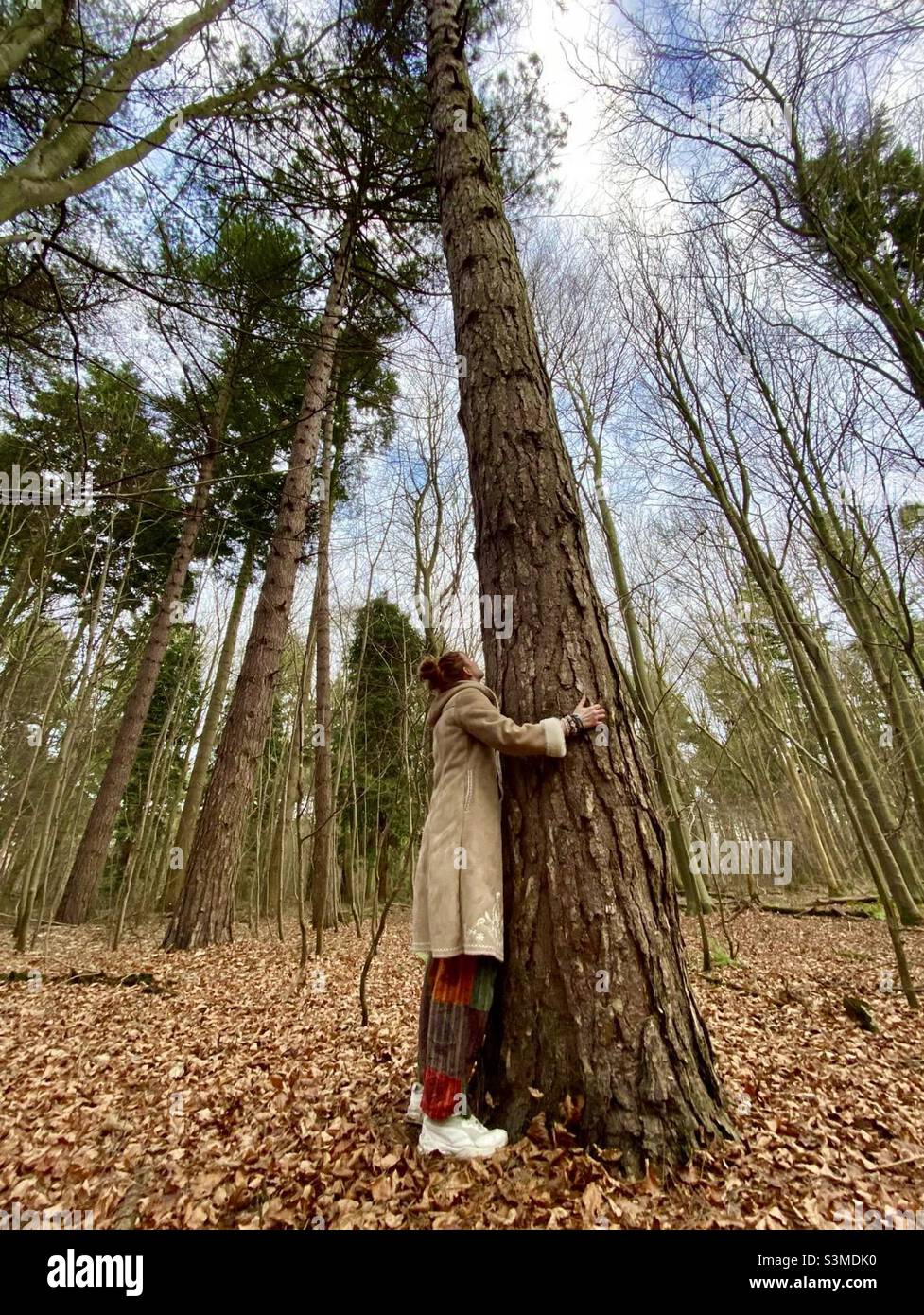 Love nature - hug a tree Stock Photo - Alamy
