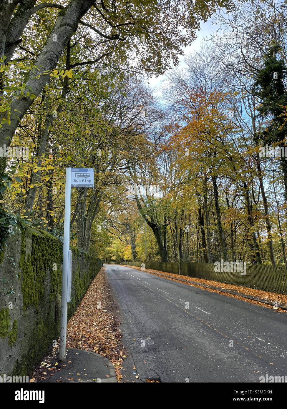Bus stop fallen hi-res stock photography and images - Alamy