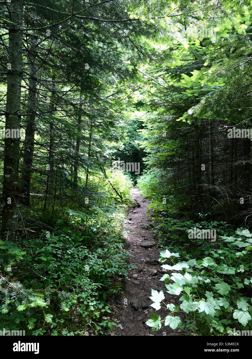 Track and trail hi-res stock photography and images - Alamy
