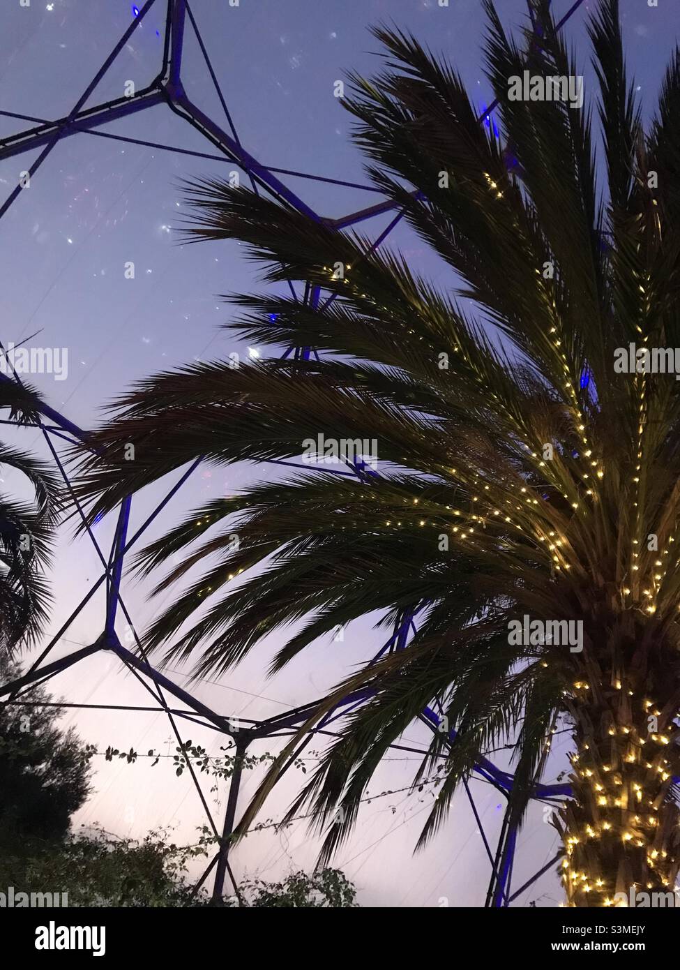 Project tree hi-res stock photography and images - Alamy