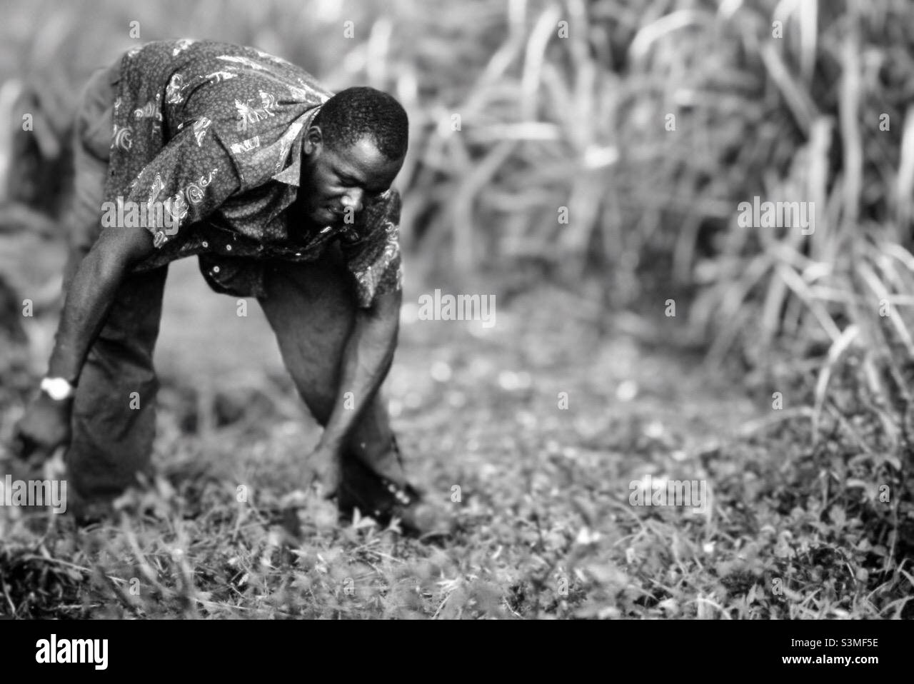 Rural jamaica hi-res stock photography and images - Alamy