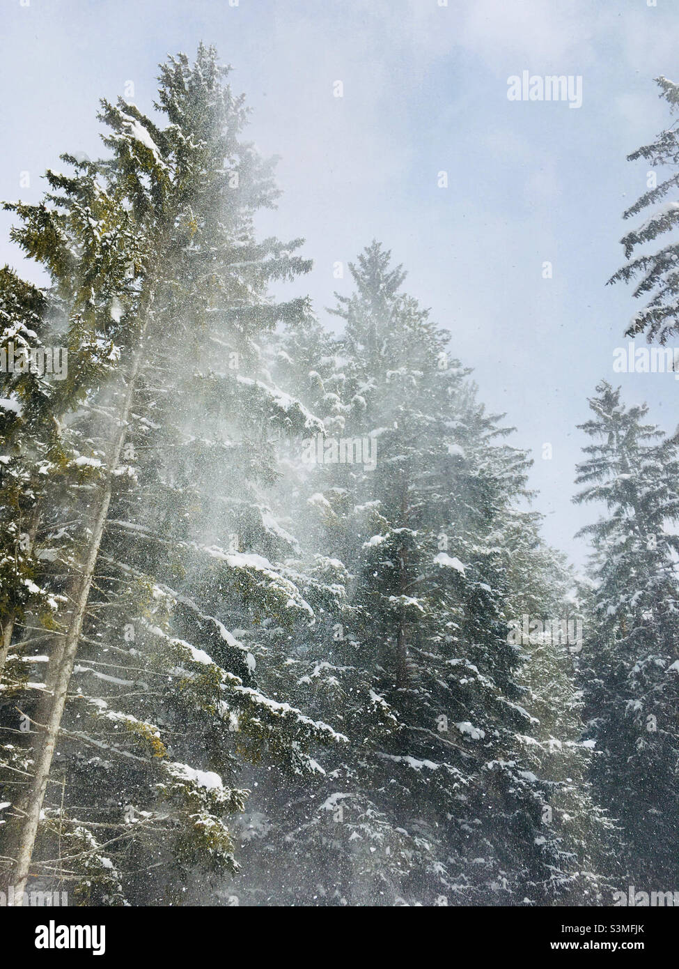 Snow falling down hi-res stock photography and images - Alamy