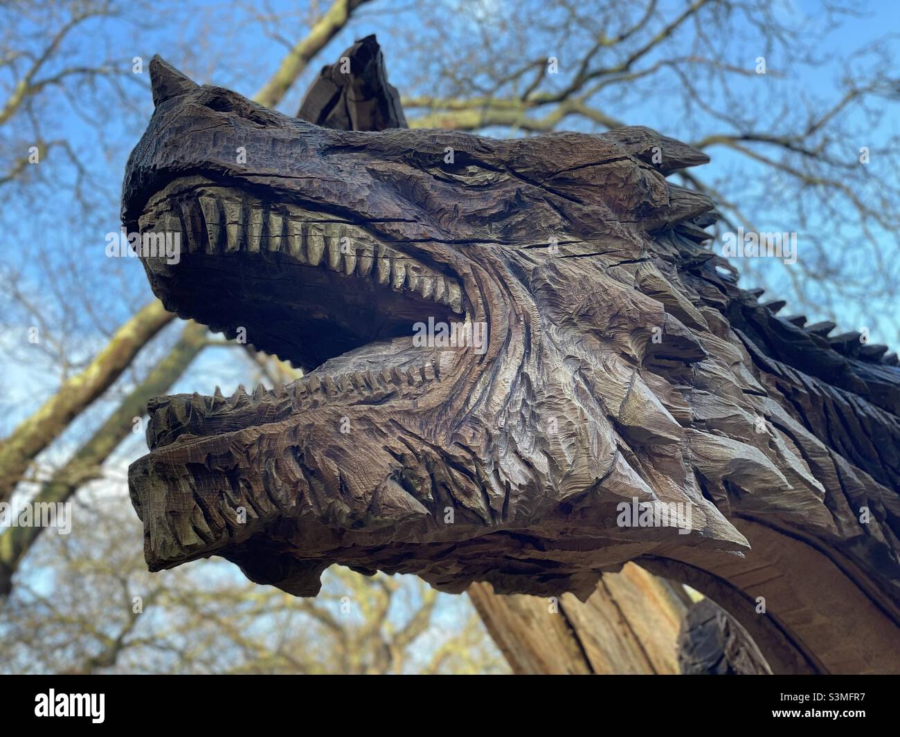 The dragons head Stock Photo - Alamy