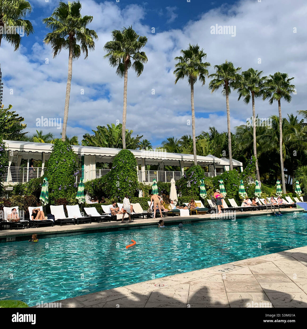 December, 2021, swimming pool, Kimpton Surfcomber Hotel, South Beach ...