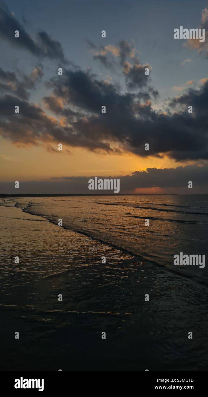 Mandvi beach hi-res stock photography and images - Alamy
