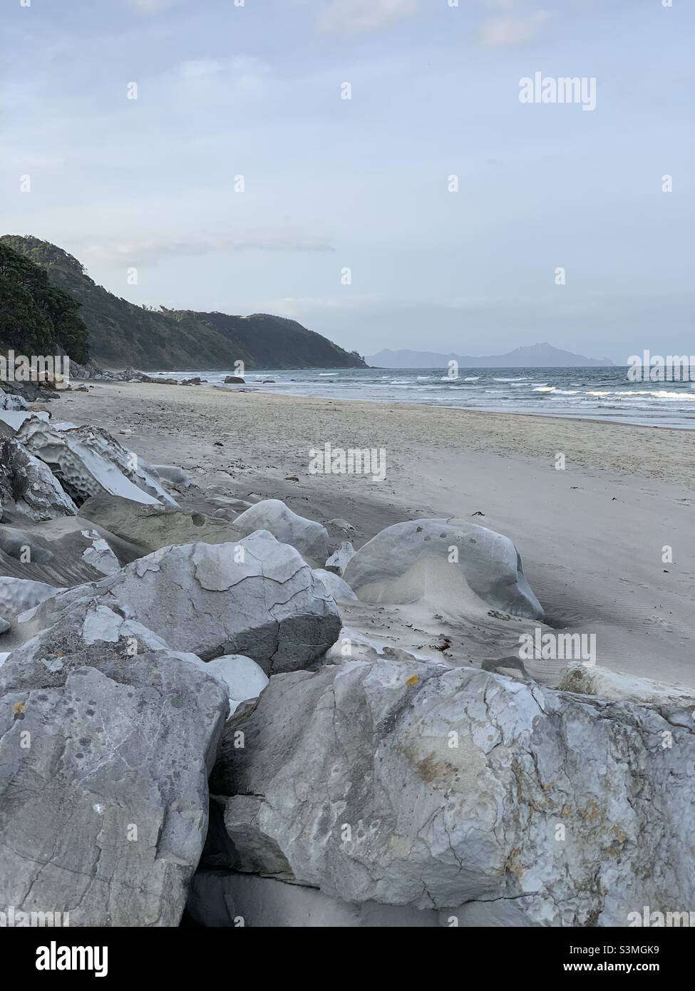 Pakiri beach hi-res stock photography and images - Alamy