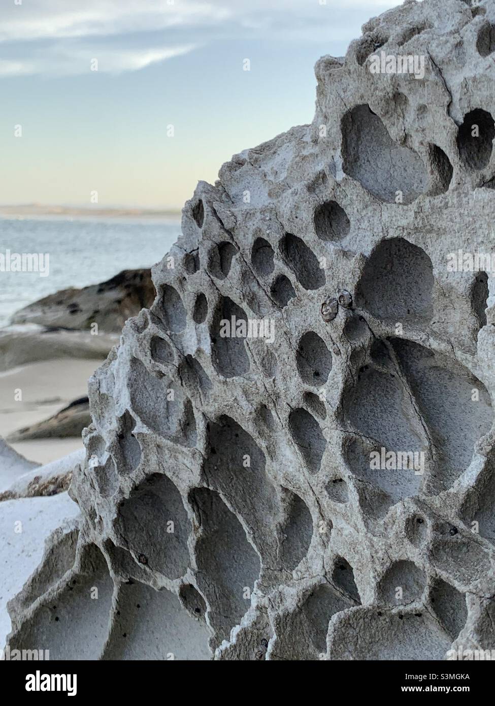 Pakiri beach hi-res stock photography and images - Alamy