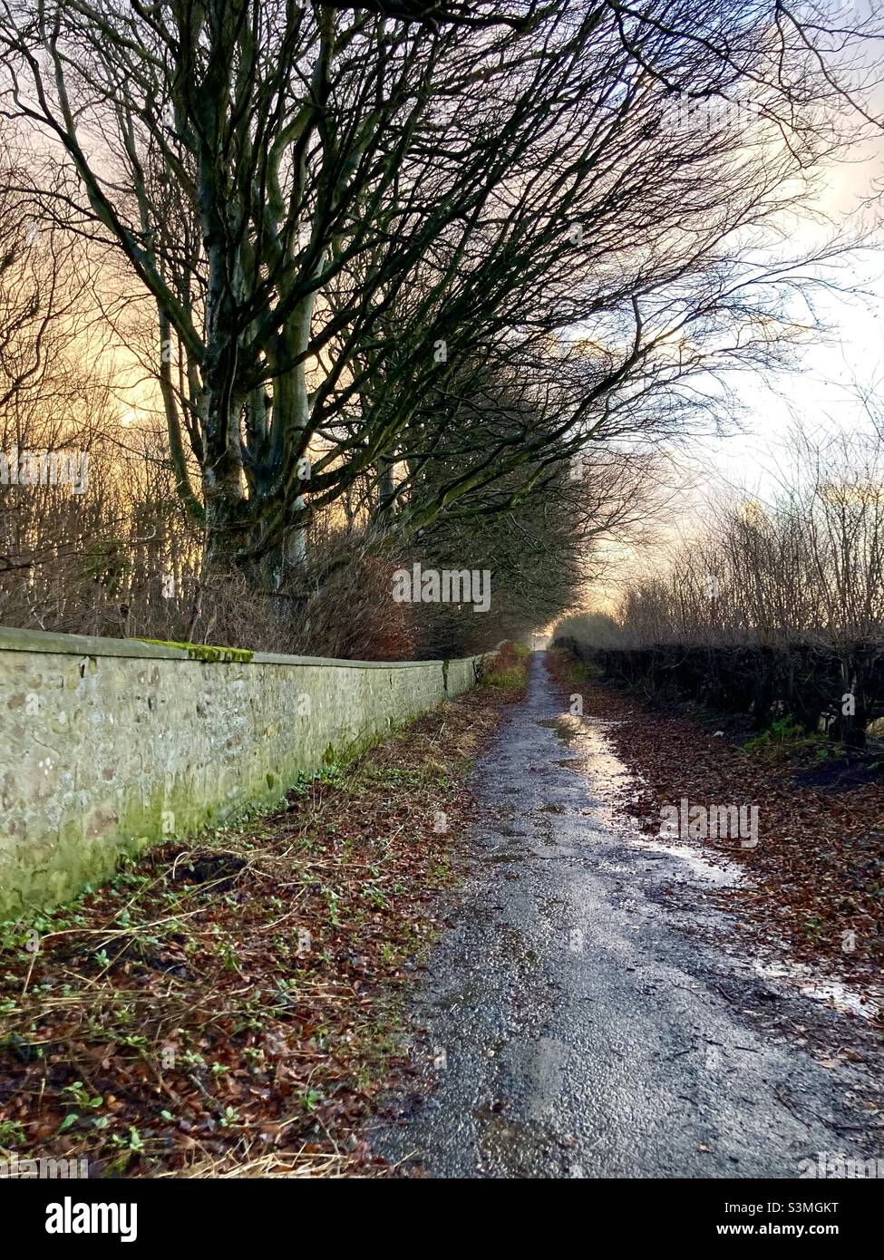 Country lane winter hi-res stock photography and images - Alamy