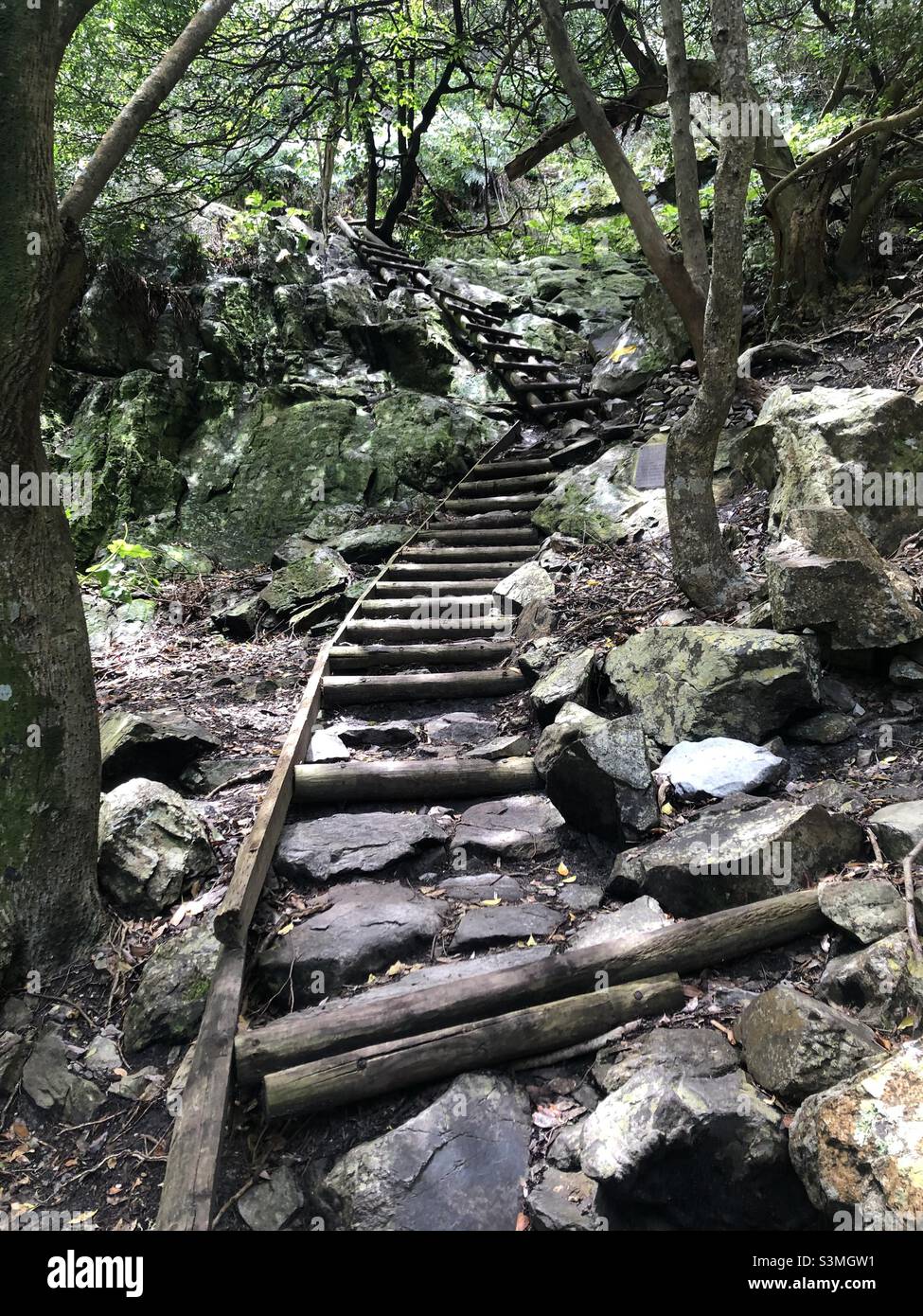 Mountain path with ladders Stock Photo - Alamy