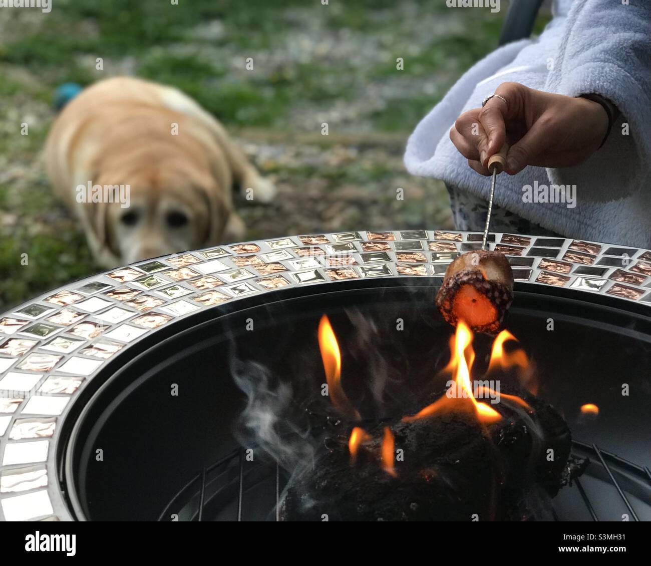 Biscuit fire hi-res stock photography and images - Alamy