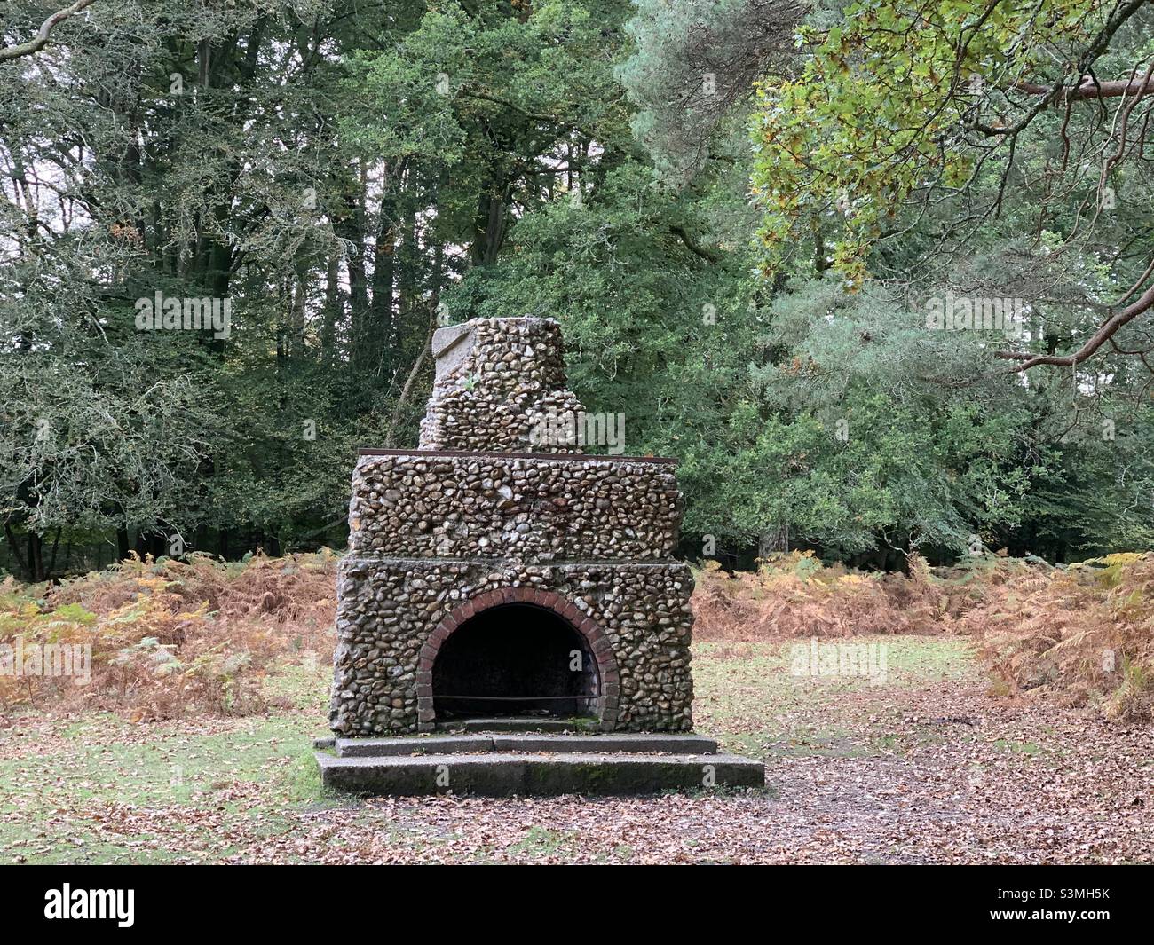 New forest stone hi-res stock photography and images - Alamy