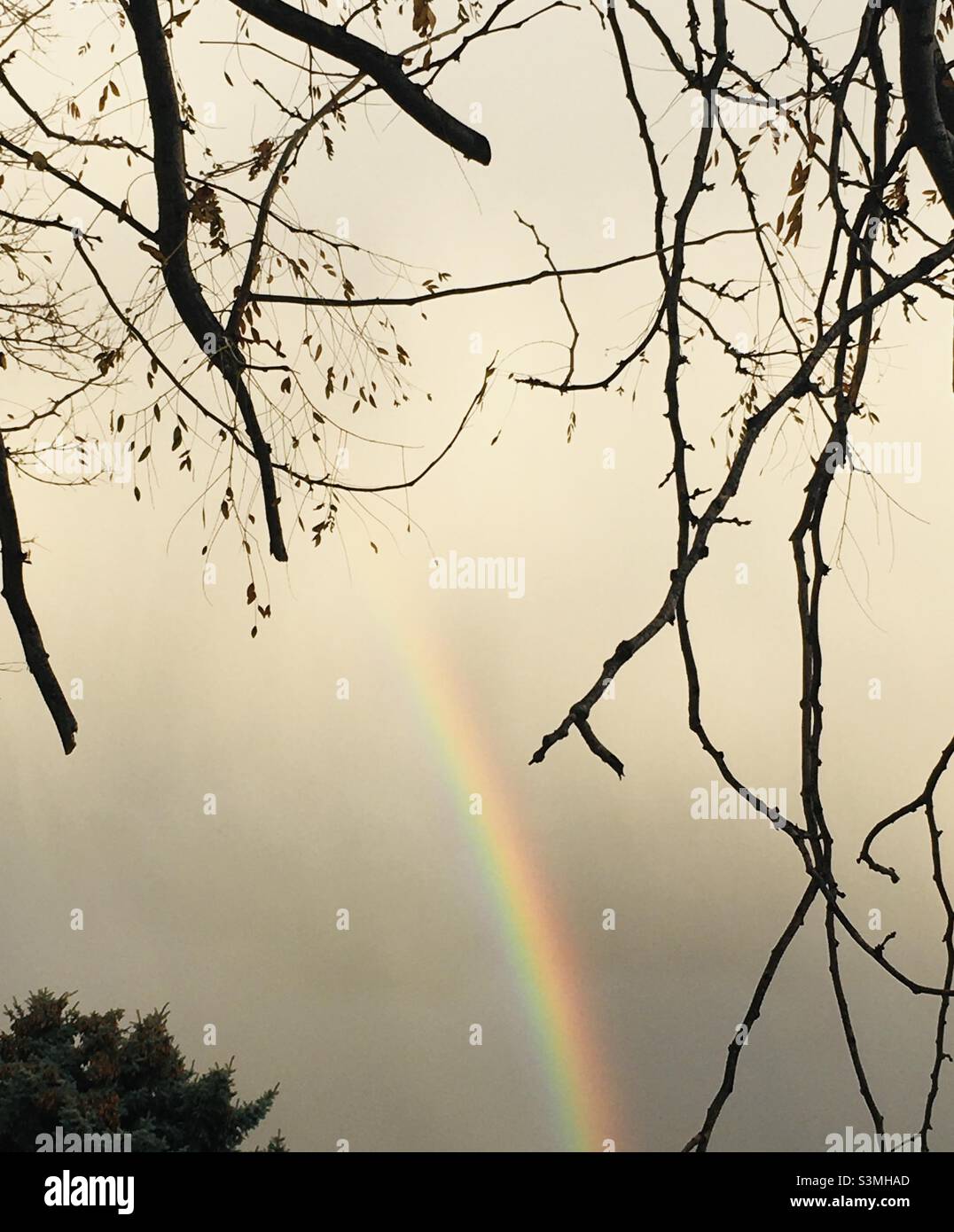 Half rainbow hi-res stock photography and images - Alamy