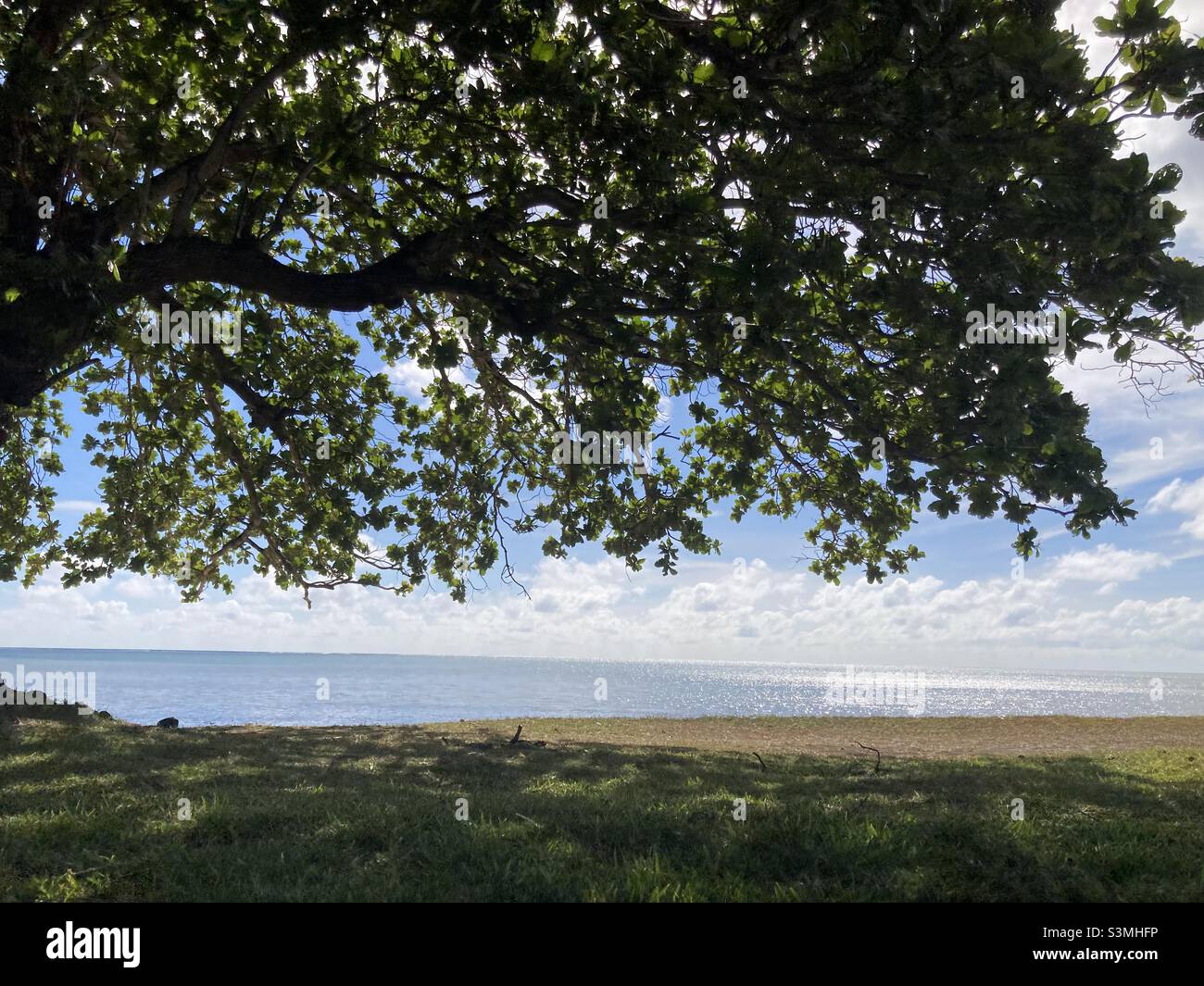 Silent sea hi-res stock photography and images - Alamy
