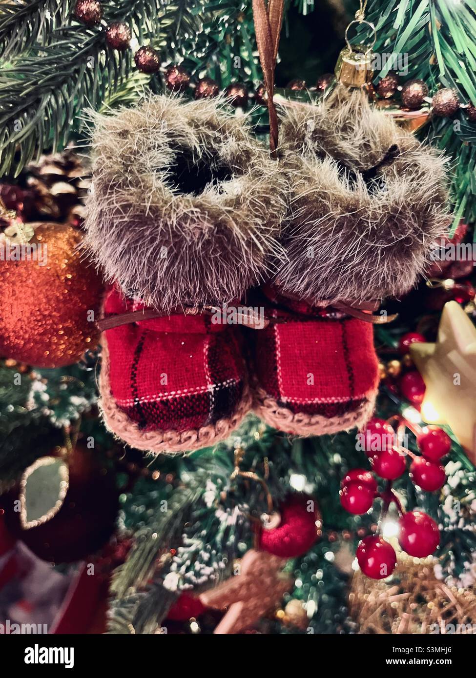 Boots tree hi-res stock photography and images - Alamy