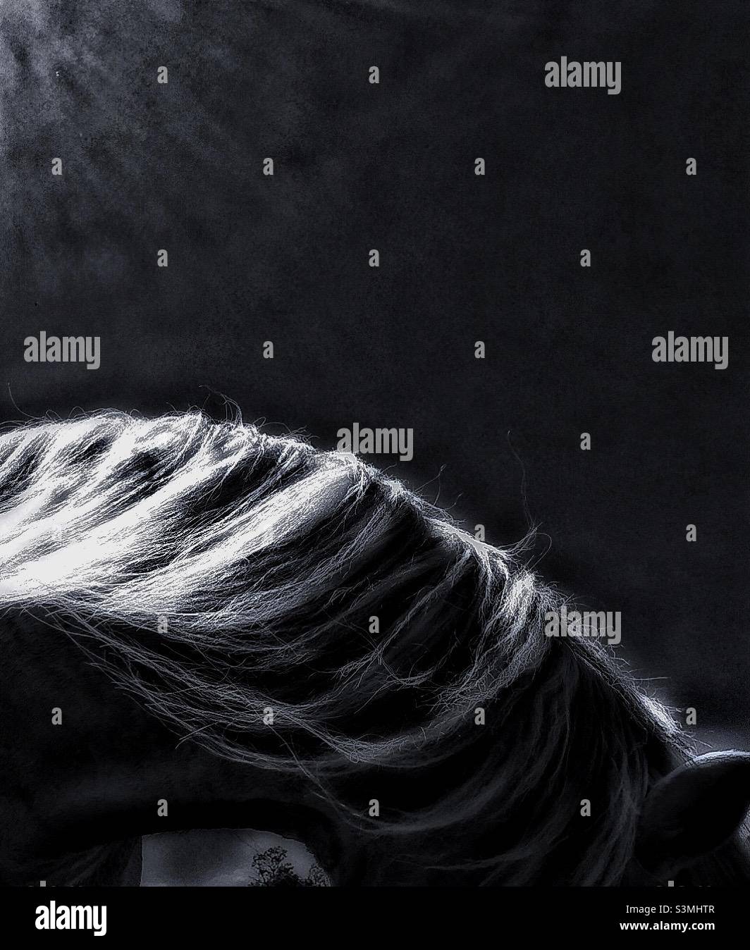 A horses mane Stock Photo - Alamy