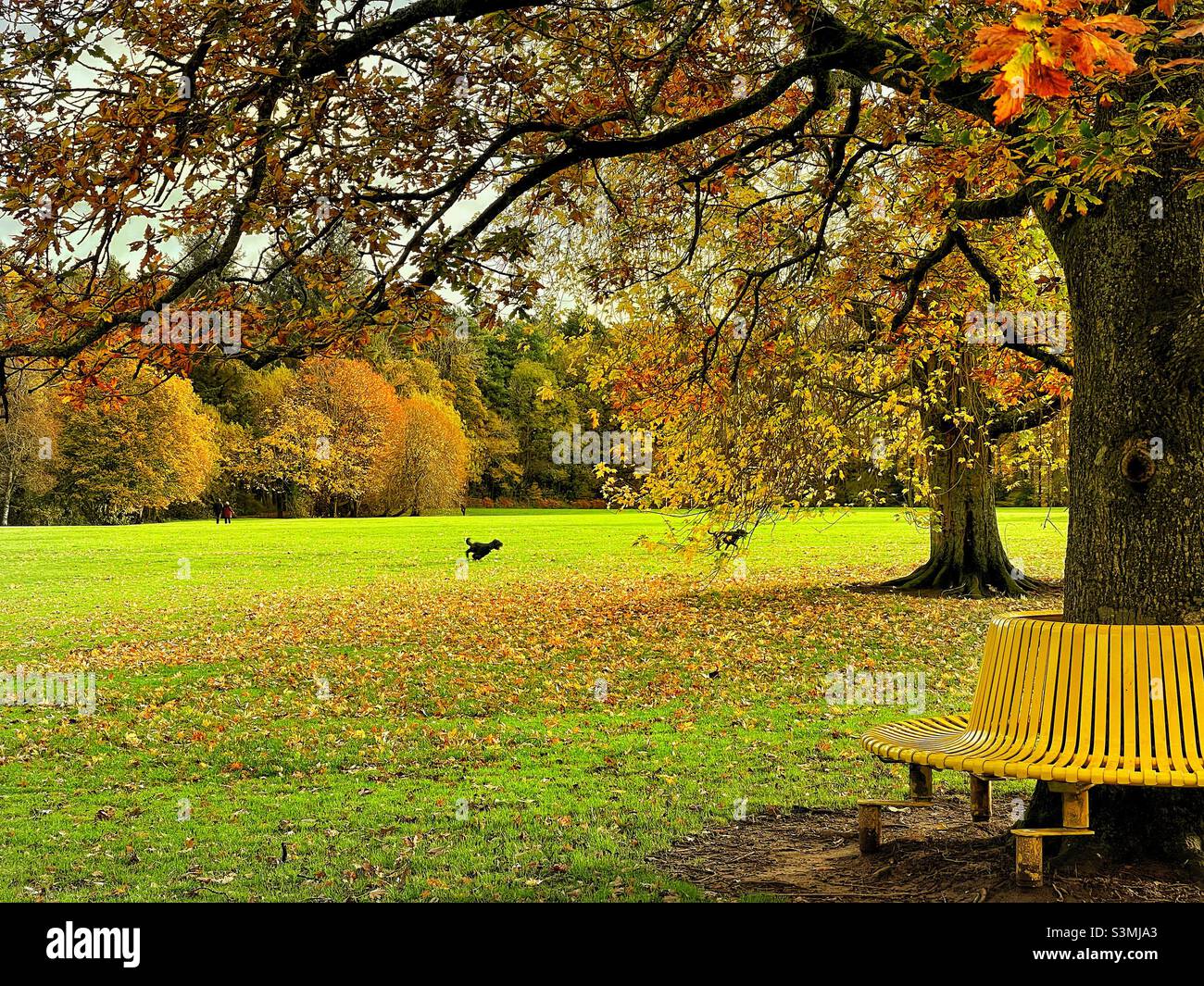 Sit spot hi-res stock photography and images - Alamy