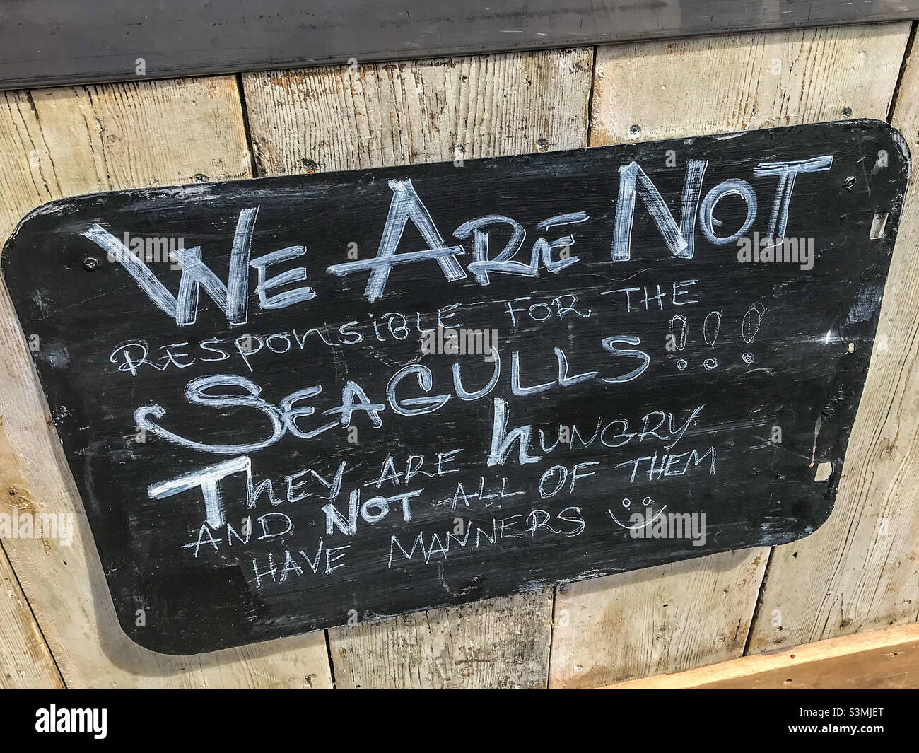 Funny seagulls hi-res stock photography and images - Alamy