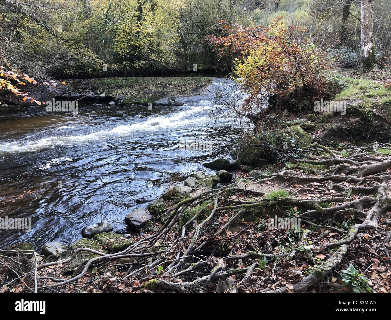 Weir stream hi-res stock photography and images - Alamy