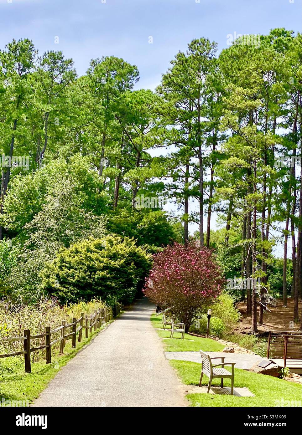 Botanical garden trail hi-res stock photography and images - Alamy