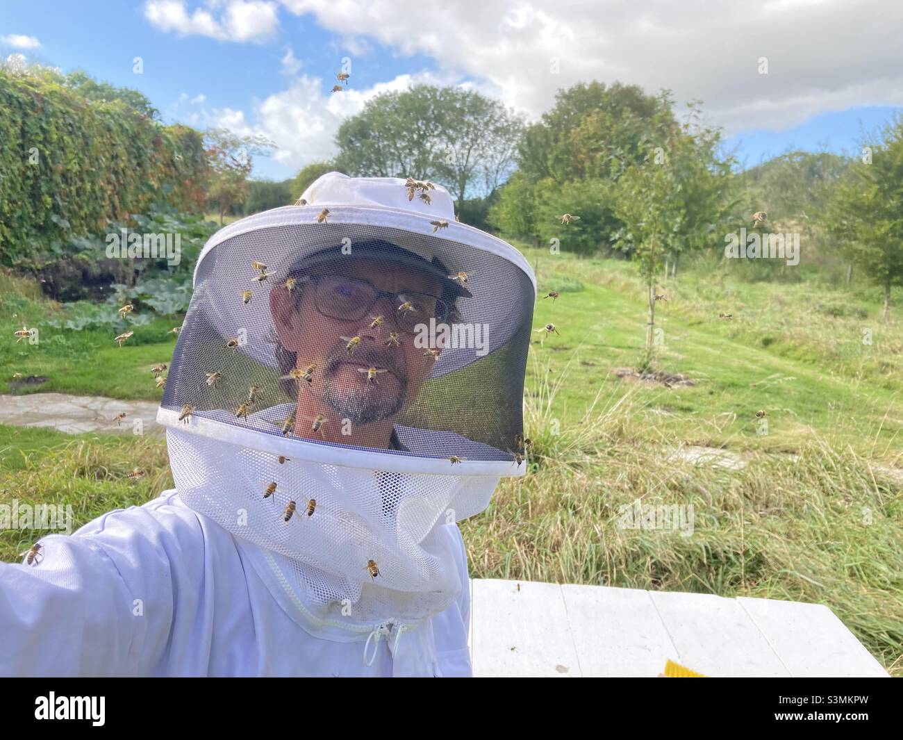 Keeper of bees hi-res stock photography and images - Alamy