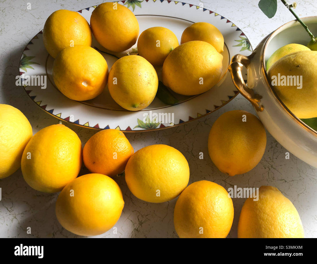 Beautiful arrangement of homegrown lemons in window light Stock Photo ...