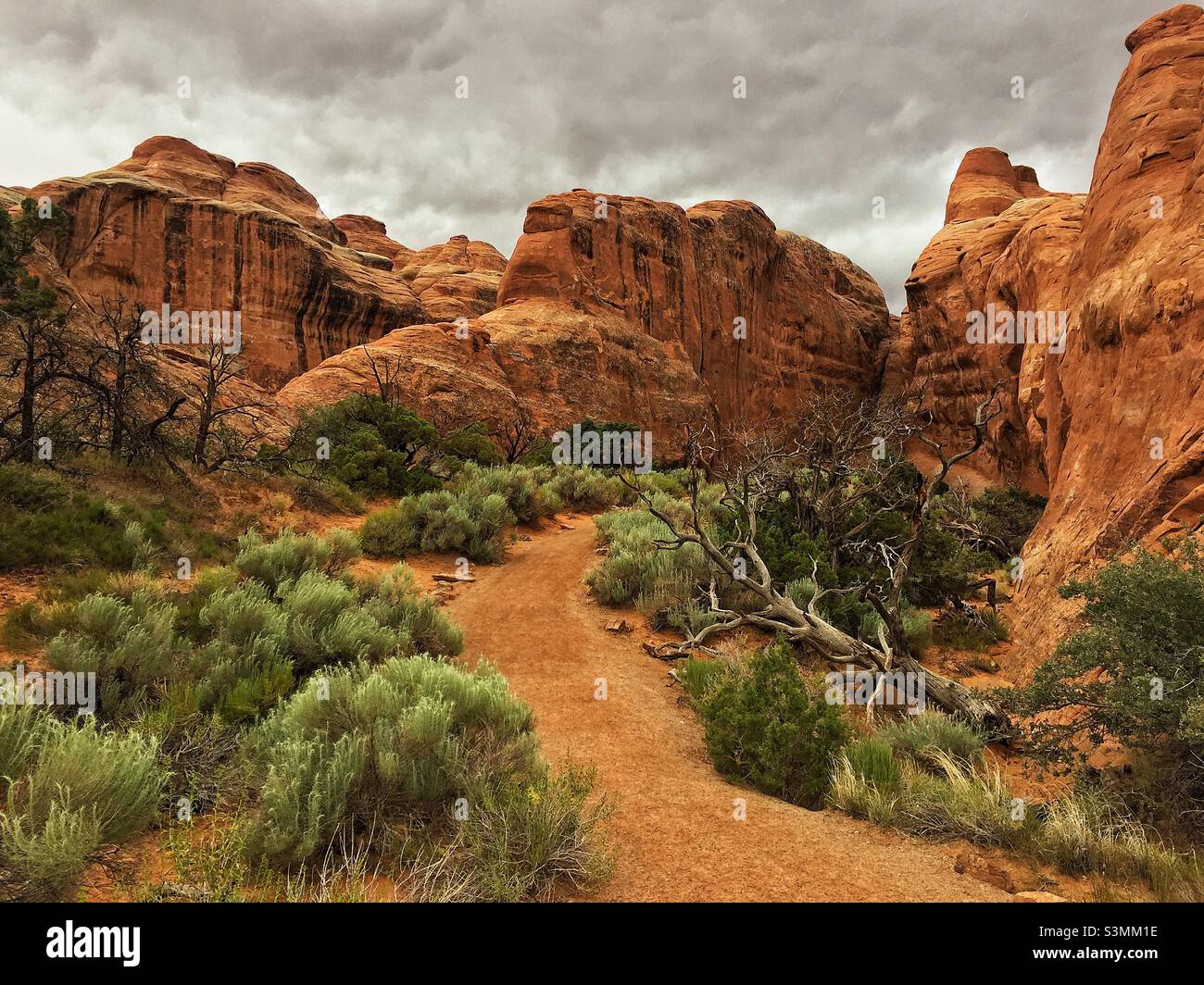 Dirt trail hi-res stock photography and images - Alamy