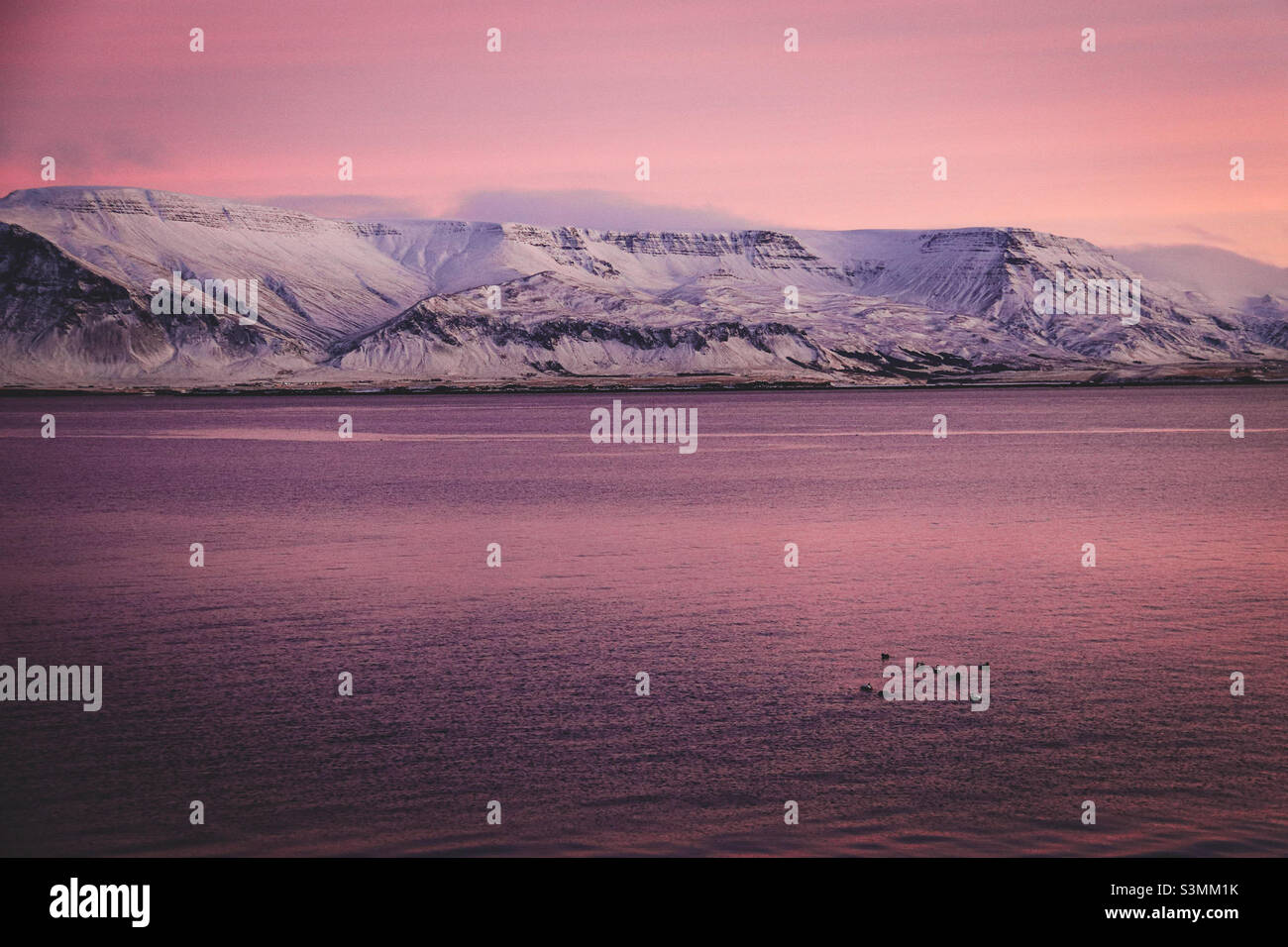 Reykjavik sunrise hi-res stock photography and images - Alamy