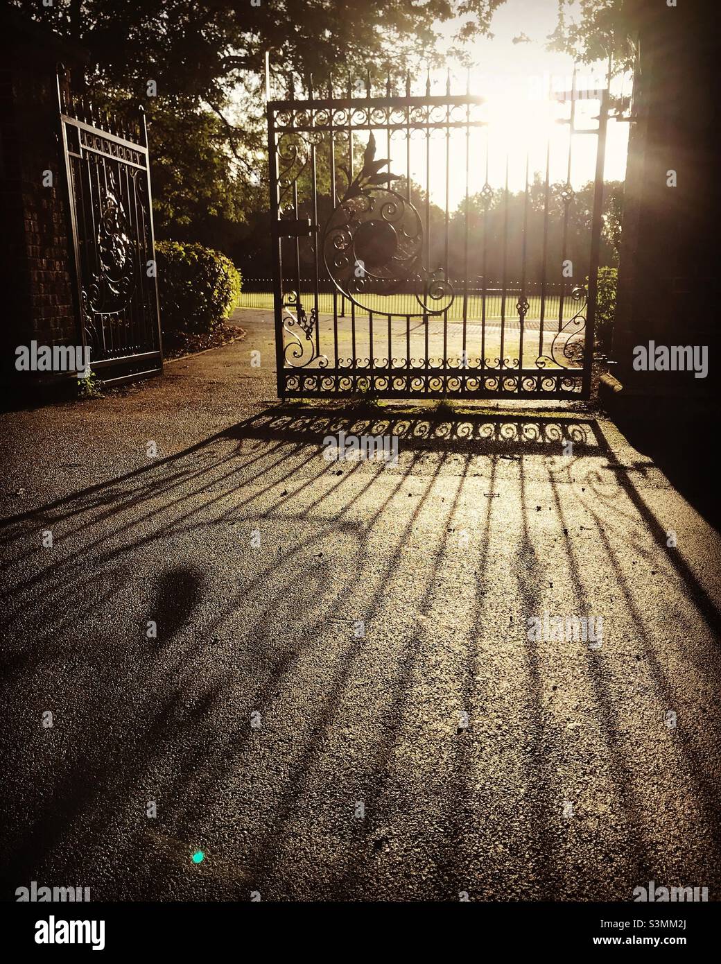 Shadows of gate hi-res stock photography and images - Alamy