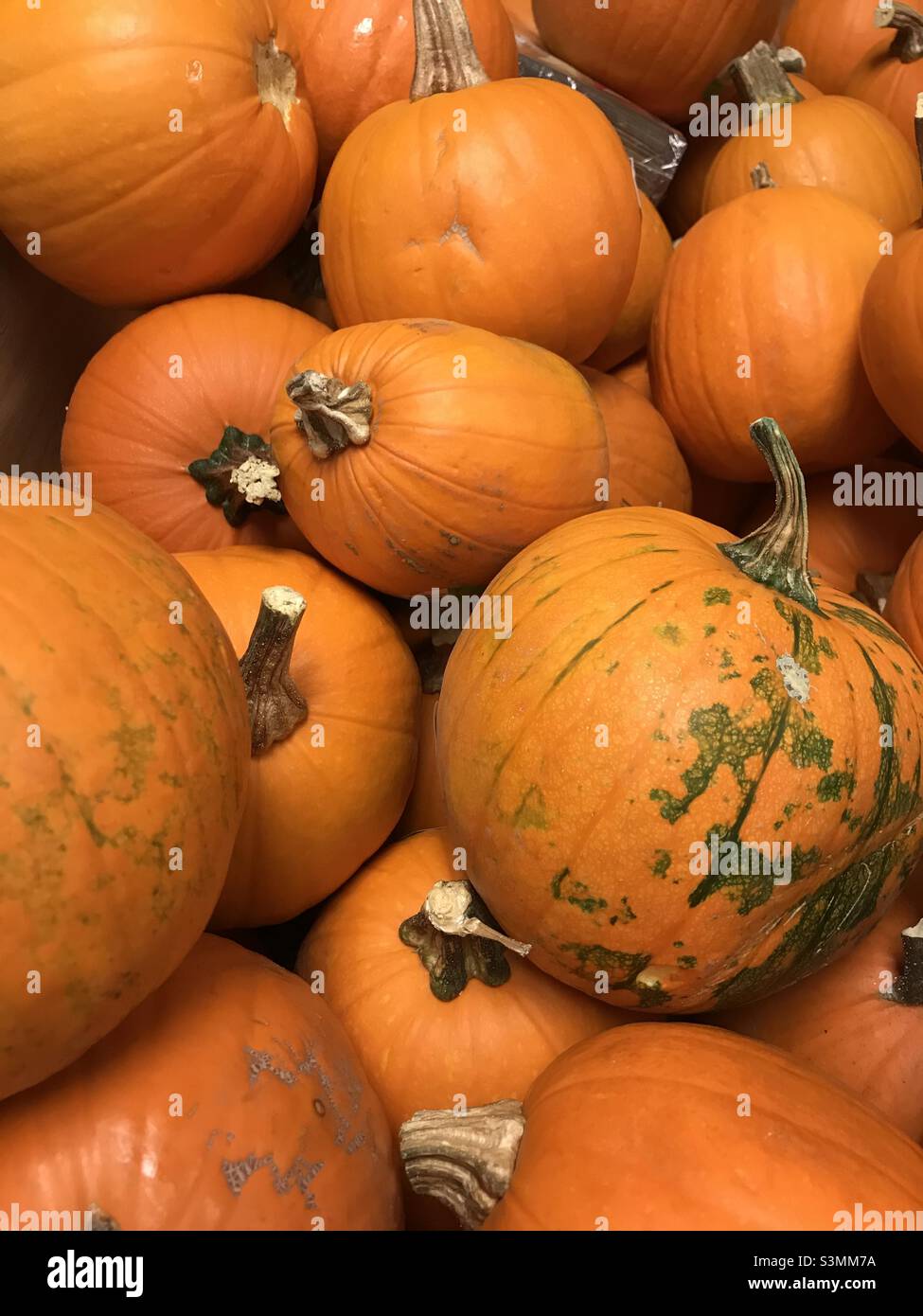 Pumpkins in a pile hi-res stock photography and images - Alamy
