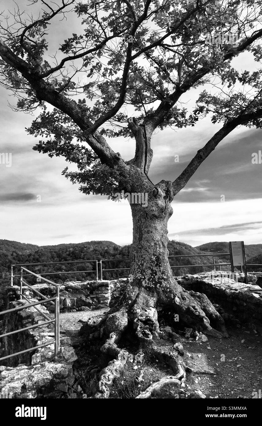 Powerful point hi-res stock photography and images - Alamy