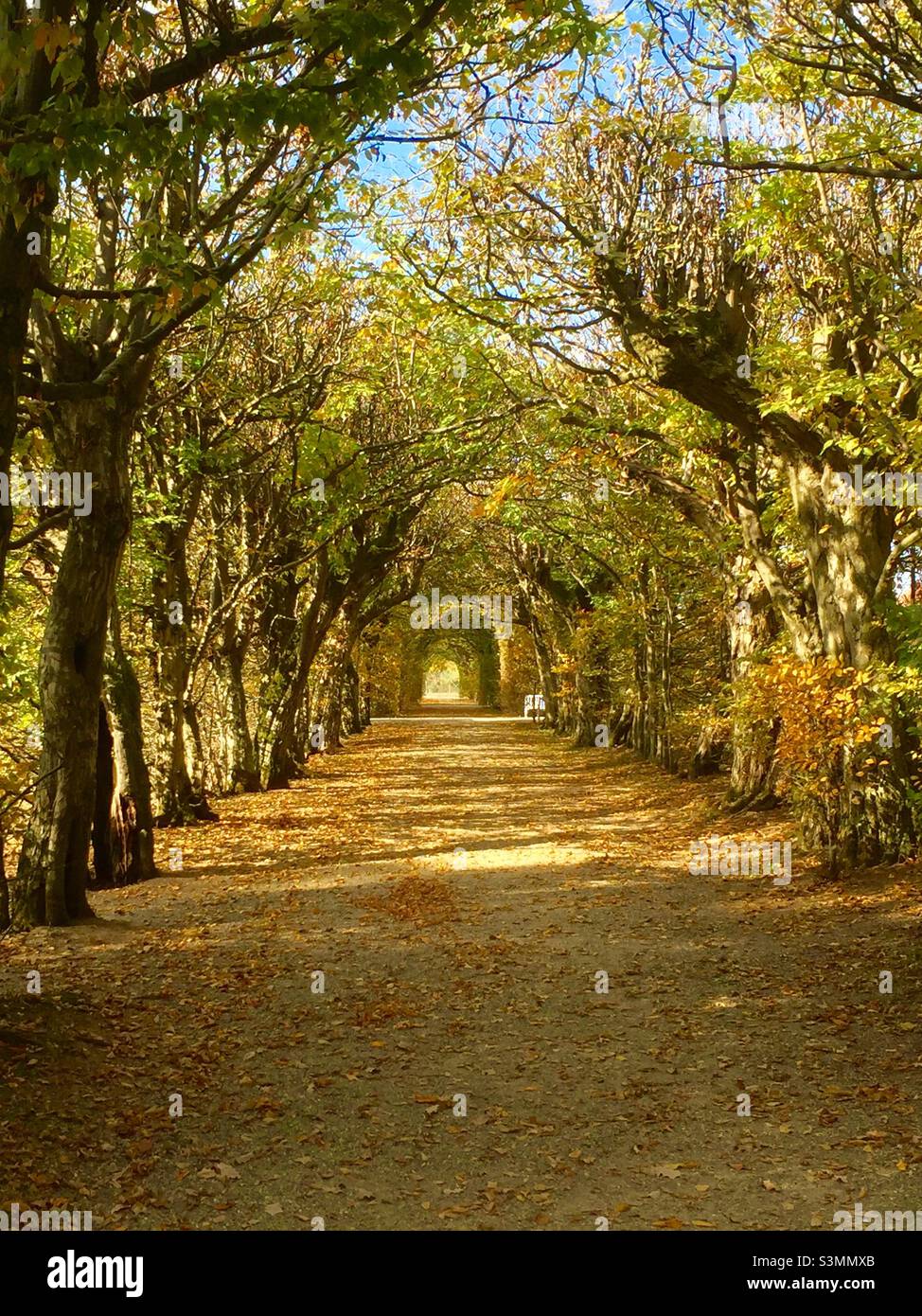 The path into the unknown Stock Photo - Alamy