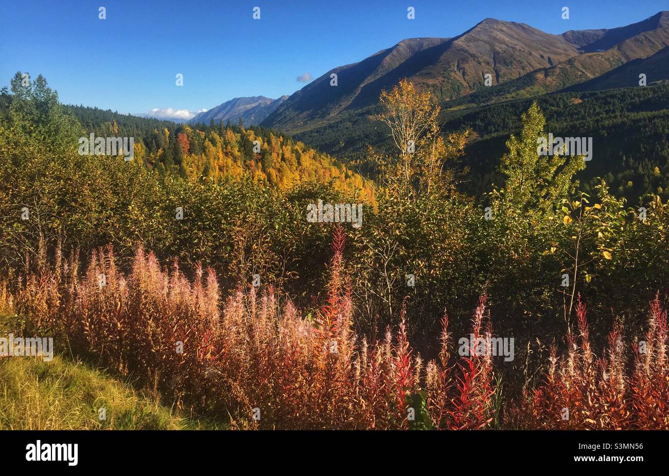 Alaskan panorama hi-res stock photography and images - Alamy