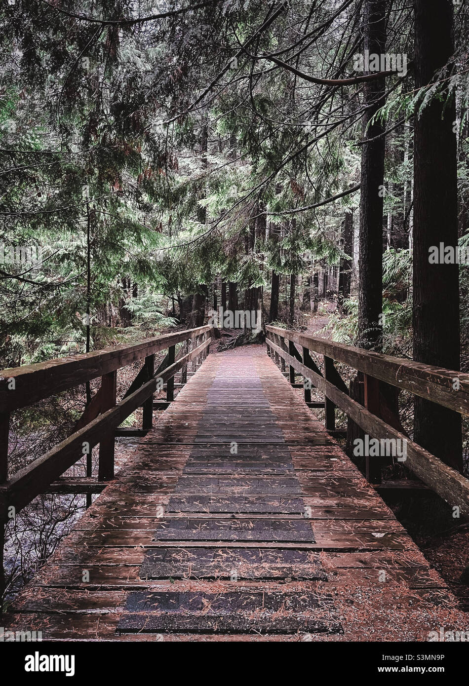 Wooden cedar bridge hi-res stock photography and images - Alamy