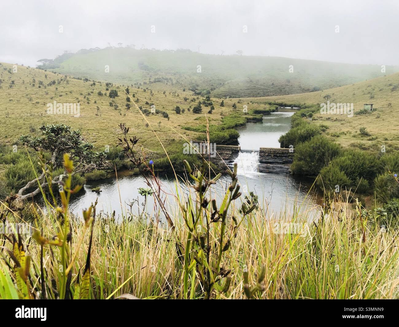 Hortan hi-res stock photography and images - Alamy