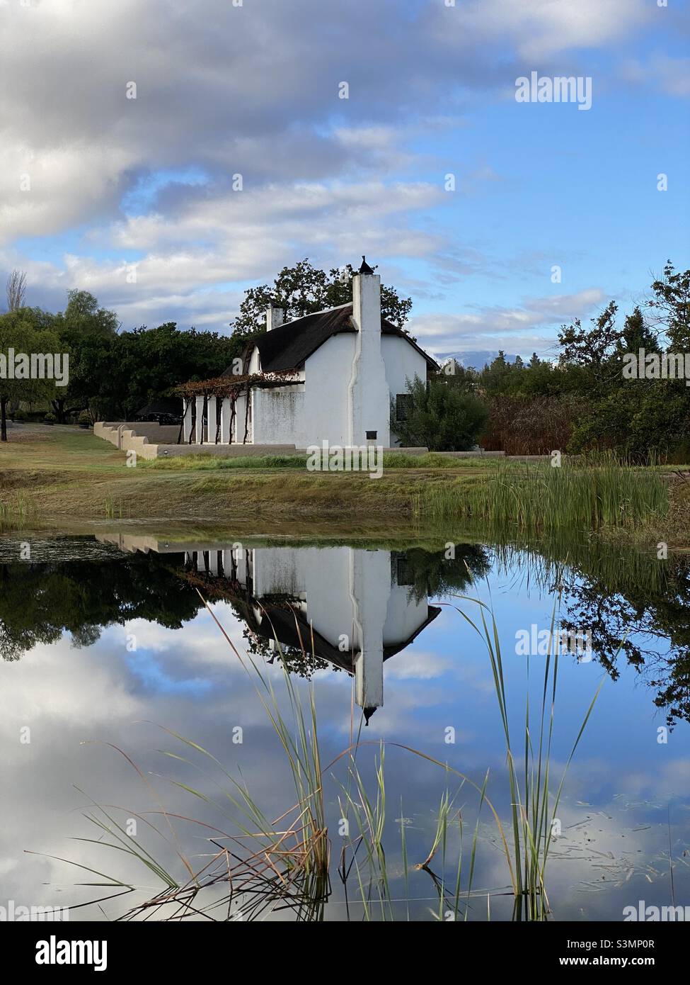 Manley estate hi-res stock photography and images - Alamy