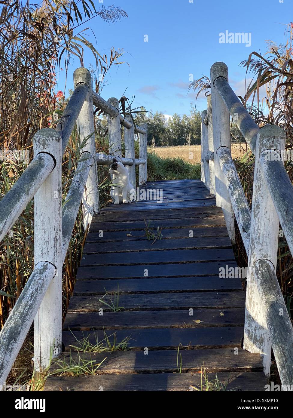 Manley estate hi-res stock photography and images - Alamy