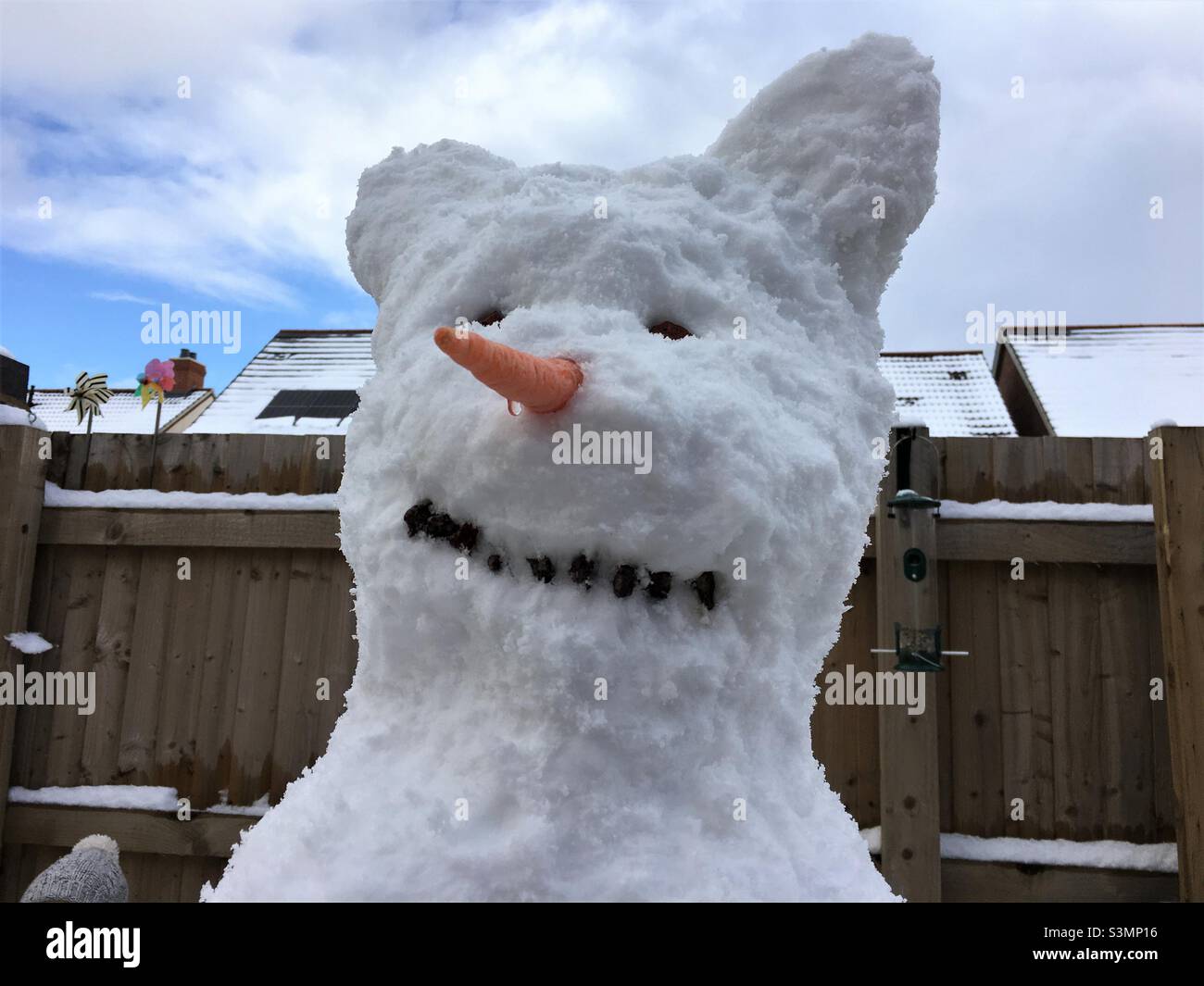Carrot snow hi-res stock photography and images - Alamy
