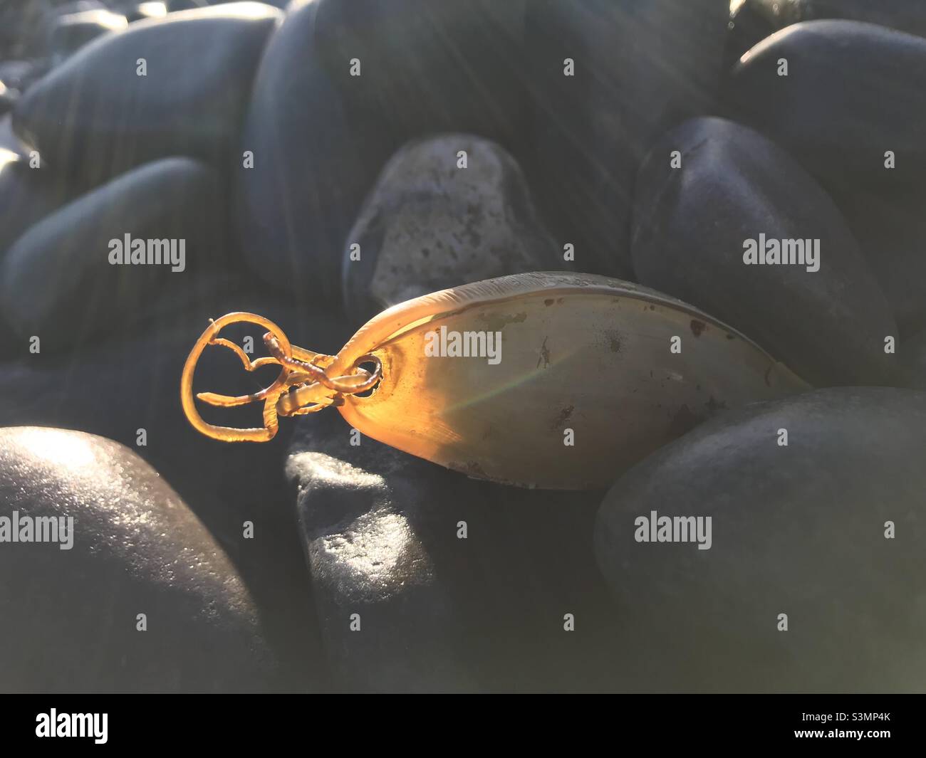 Mermaid's purse beach hi-res stock photography and images - Alamy