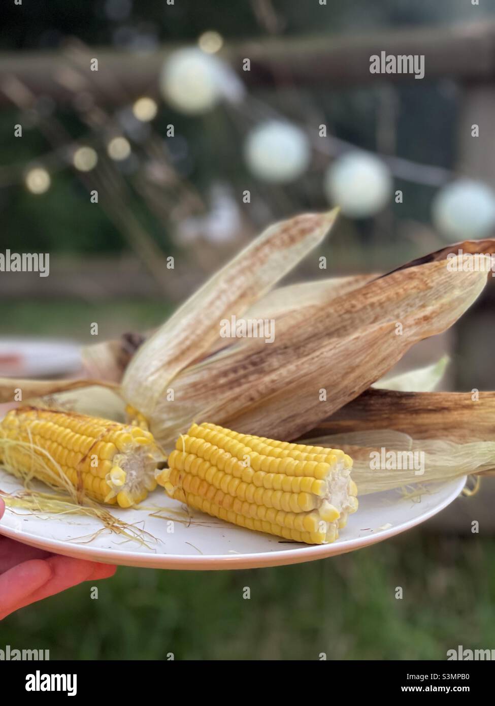 Summer BBQ sweetcorn alfresco camping Stock Photo - Alamy