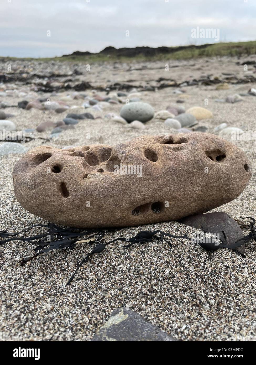 Big pebble with holes made by sea creatures on beach in Kintyre ...