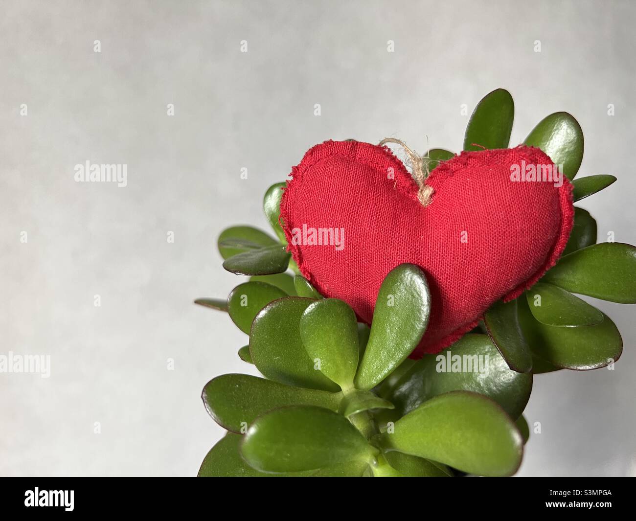 Red hart hi-res stock photography and images - Alamy