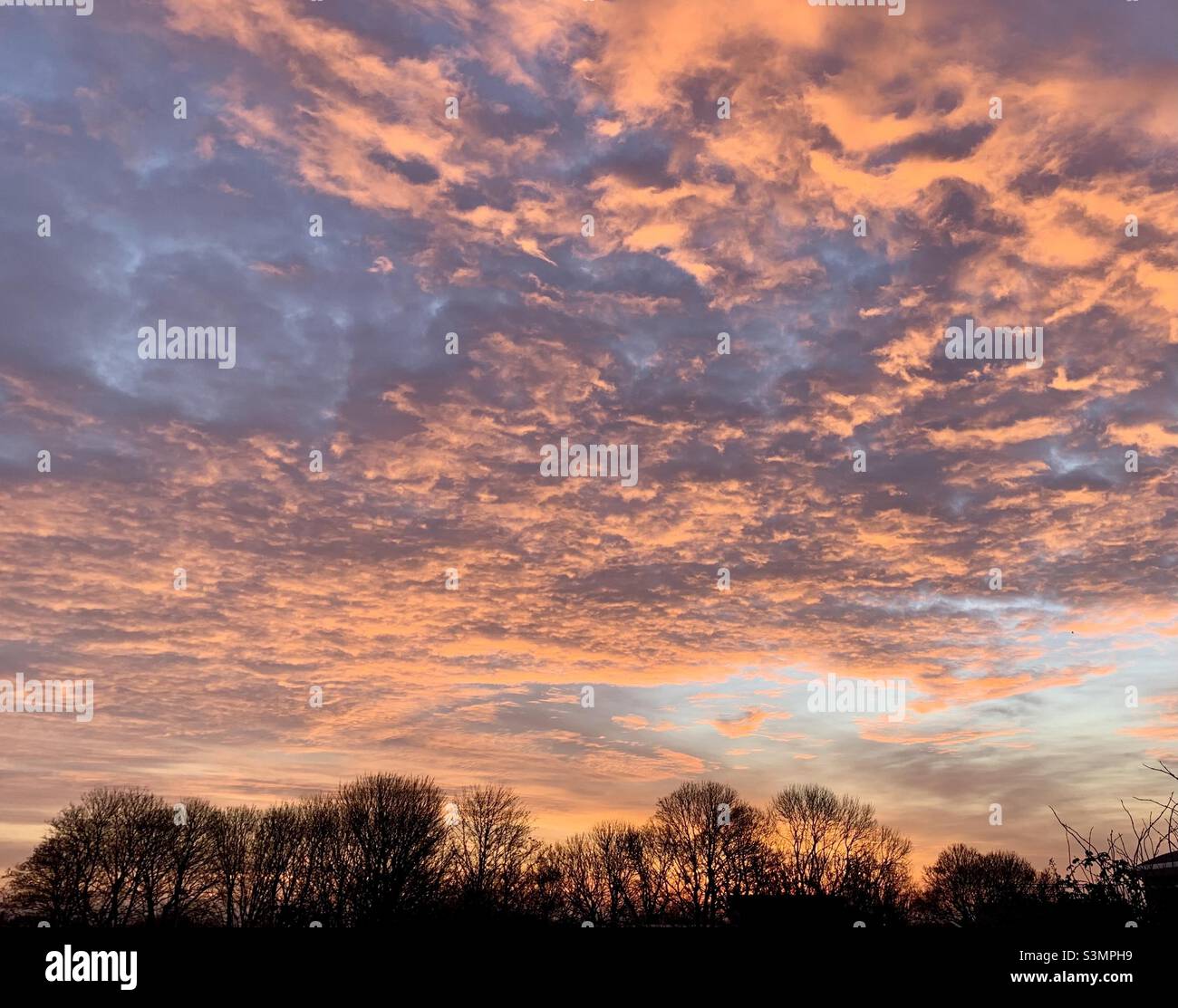 Big sunset hi-res stock photography and images - Alamy