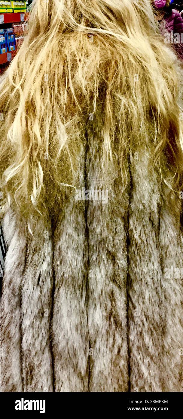 Human hair, animal fur. Blonde hair gently cascading onto a classic fur ...