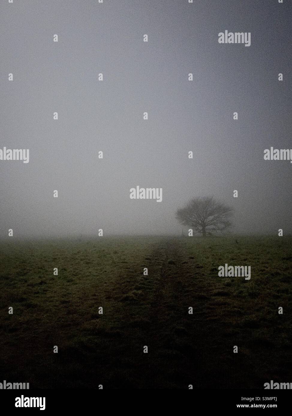 Dark field hi-res stock photography and images - Alamy