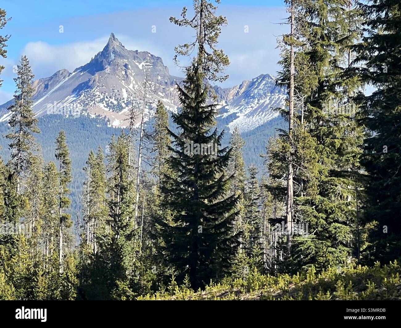 Mt Thielsen High Resolution Stock Photography and Images - Alamy