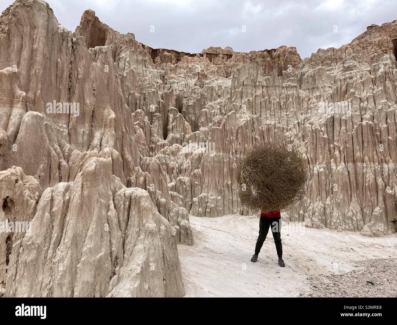 Tumbleweed desert hi-res stock photography and images - Alamy
