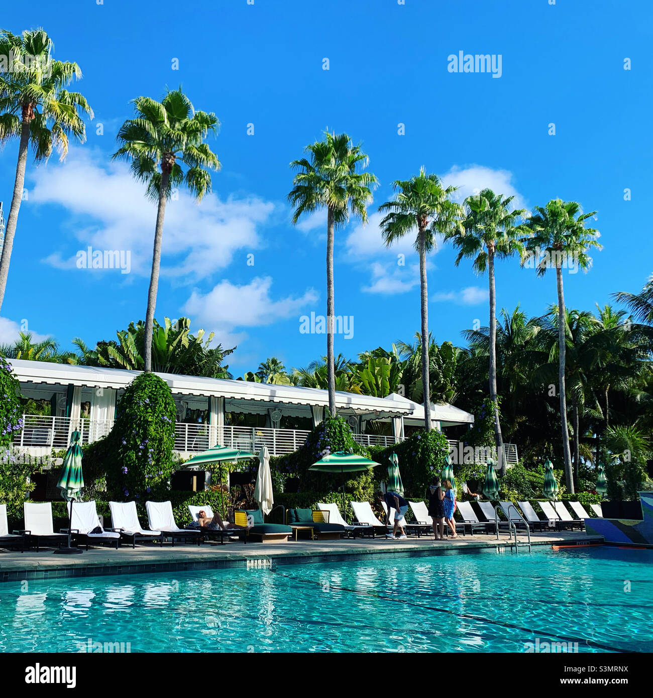 December, 2021, Swimming pool, Kimpton Surfcomber Hotel, South Beach ...