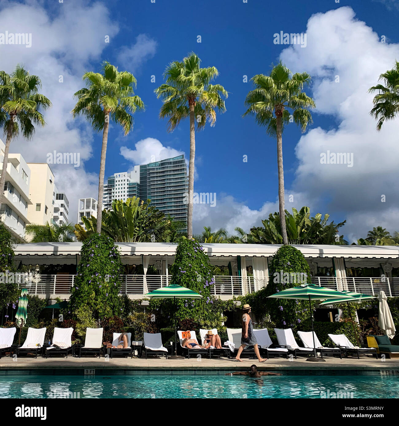 December, 2021, Swimming pool, Kimpton Surfcomber Hotel, South Beach ...