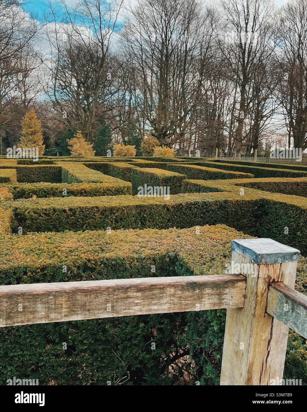 Hedge maze hi-res stock photography and images - Alamy